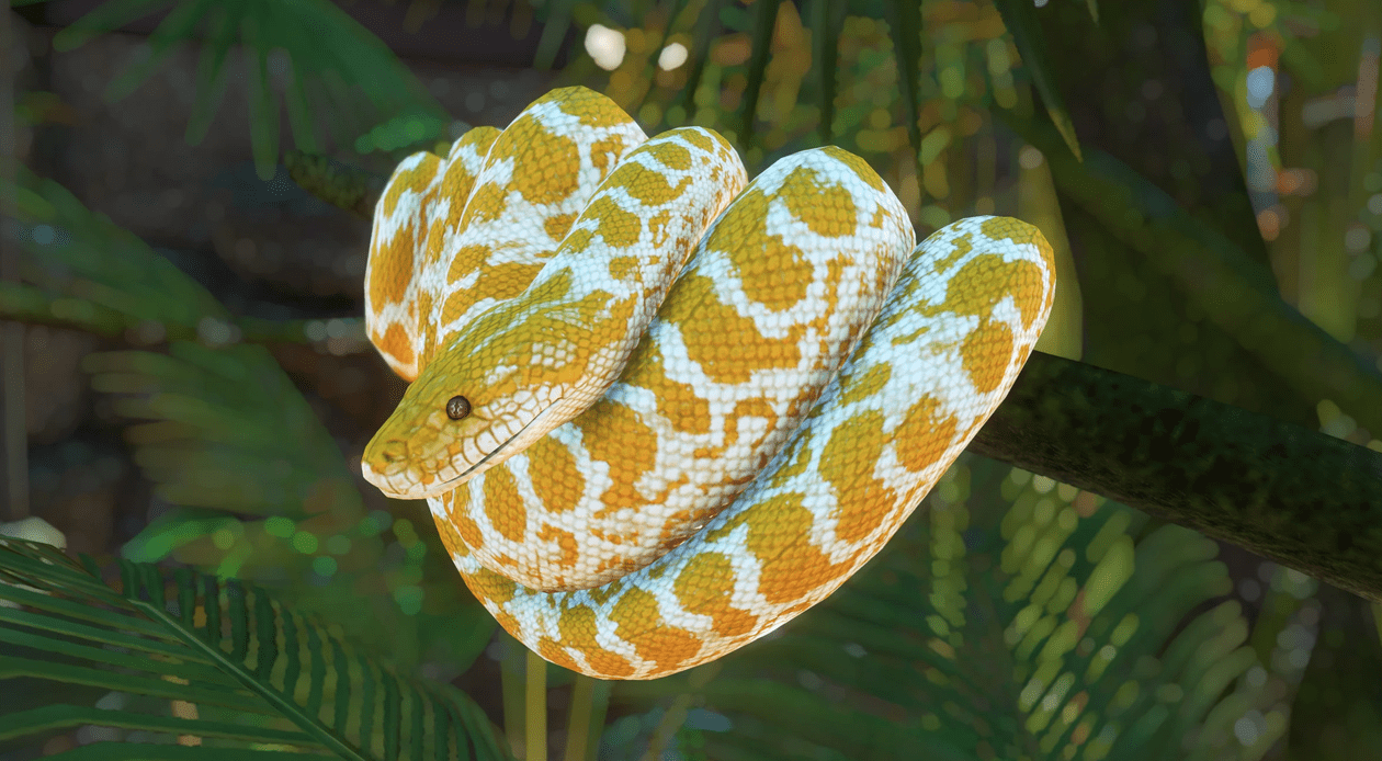 Bem-estar de pets não convencionais ⋆ Bem Estar Animal